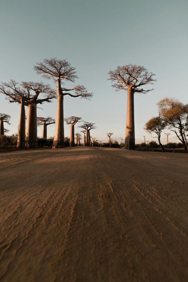 Madagascar | Ruby Travel Solutions